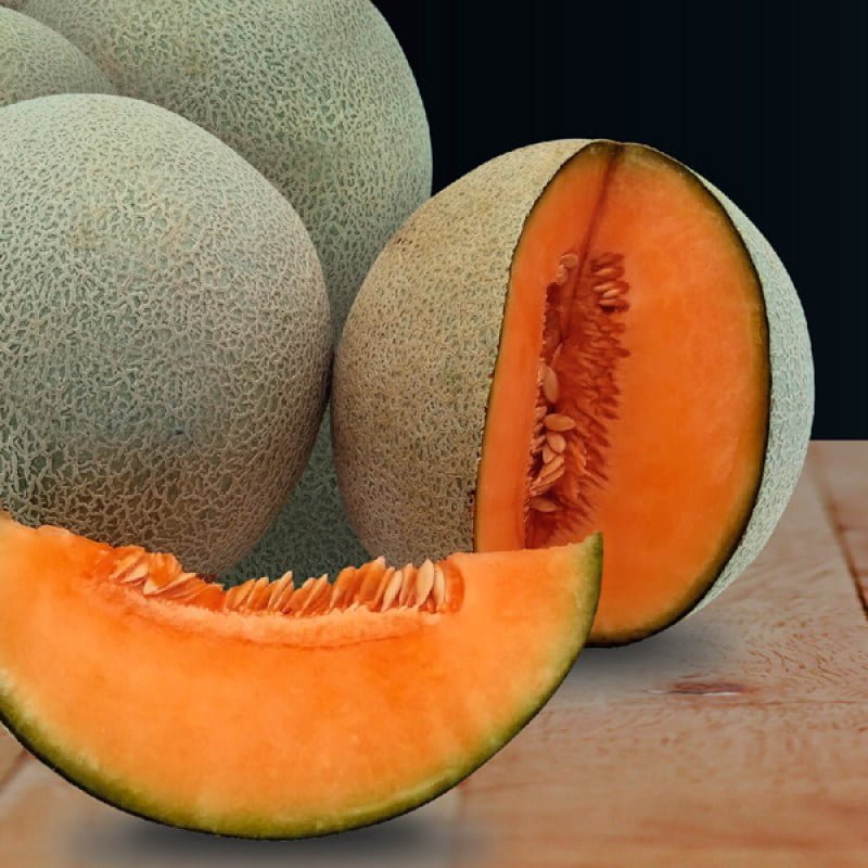 MELÓN BUKI F1 – agroactivocol