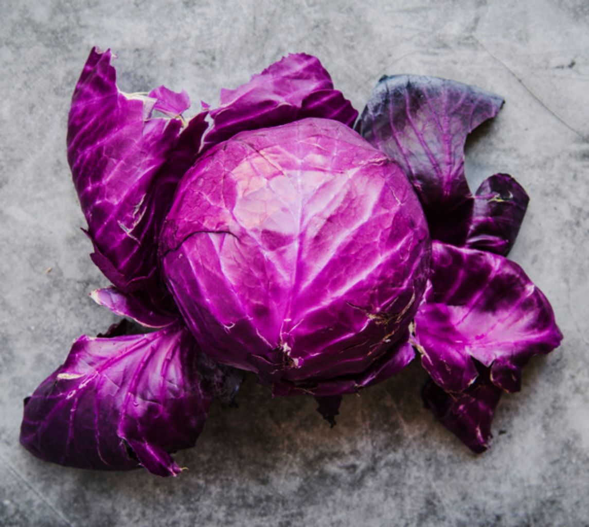 REPOLLO MORADO – agroactivocol