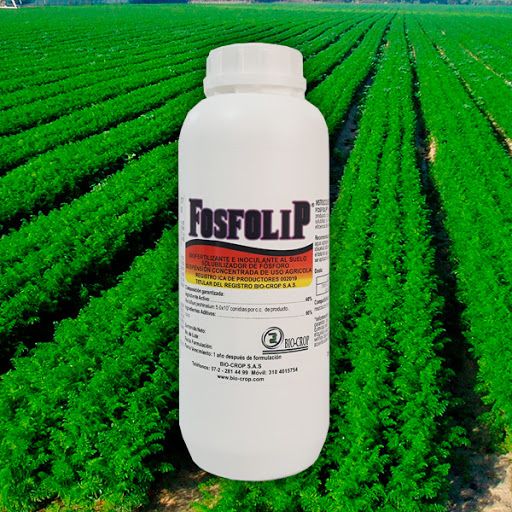 FOSFOLIP PENICILLIUM JANTHINELLUM – agroactivocol